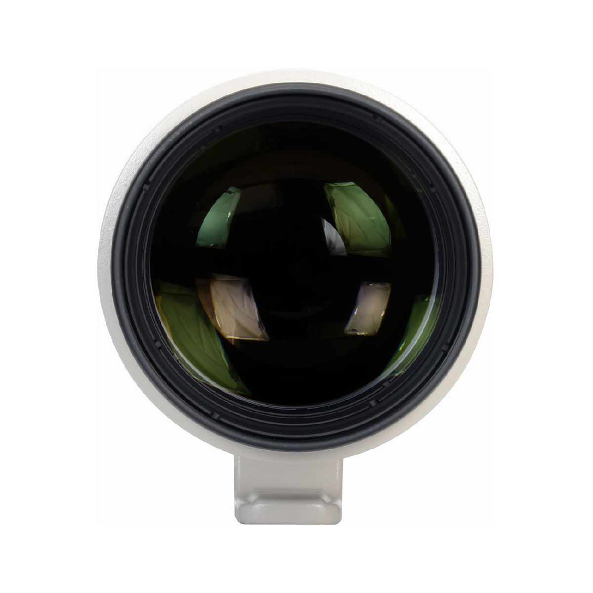 Canon EF 200mm f/2L IS USM Lens | Future Forward
